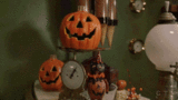 pumpkin (in Animated GIFs)