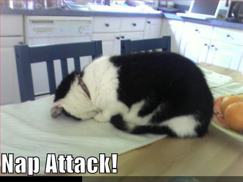 nap attack (in Clipart)