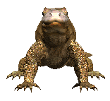komodo dragon (in Animated GIFs)